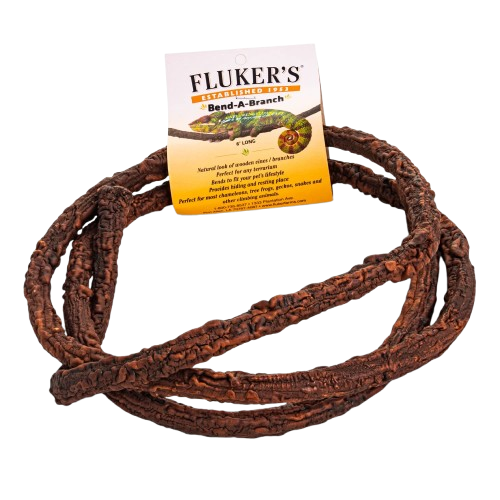 Flukers: Bend A Branch – Tropical Exotics